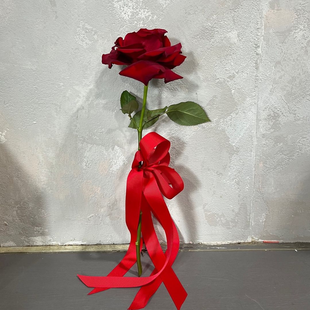 Single Rose – Flowers on Norton St