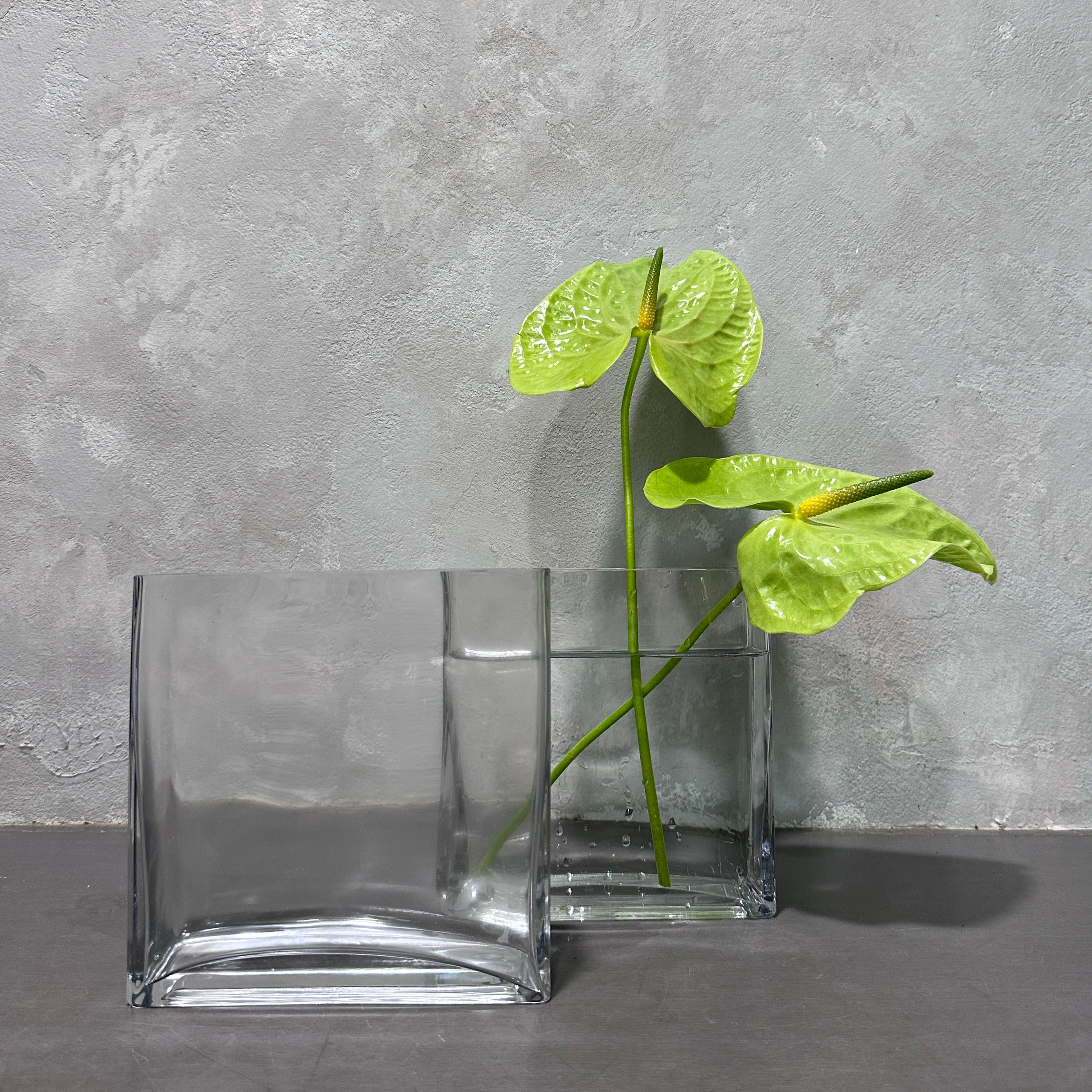 Rectangular Glass Vase Rectangle & More Glass Vases | BNB Wholesale